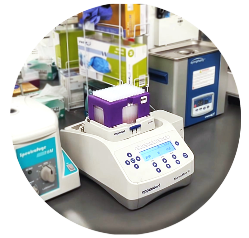 How to Accurately Take a Blood Sample Using the Mitra Microsampler