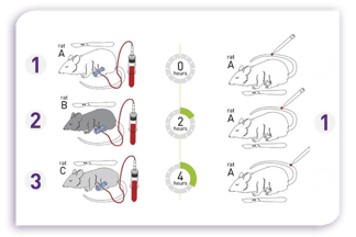 Microsampling Alternative to Traditional Blood Sampling Lab Mice & Rats