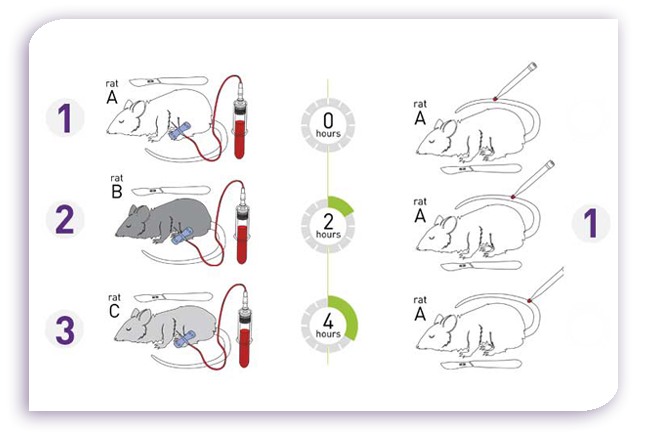 Microsampling Alternative to Traditional Blood Sampling Lab Mice & Rats