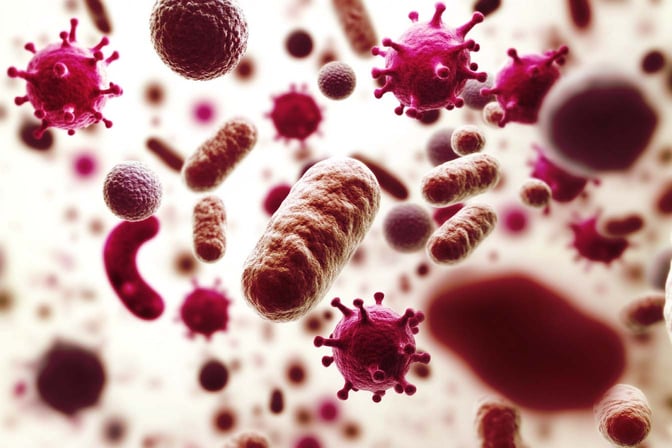 the role of skin biopsy in infectious skin diseases research