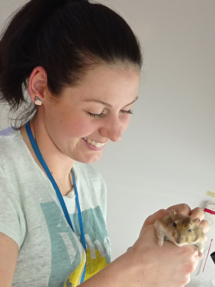 Expert Q&A: Harpera Used for Skin Microsampling in Leishmaniasis Study