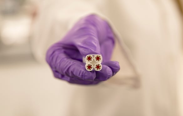 4 Alternatives to Wet Blood Collection